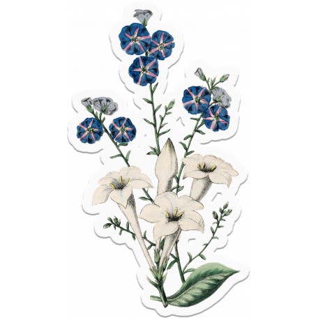 Blessed Blue Botanical Flower Sticker graphic by Robin Sampson ...