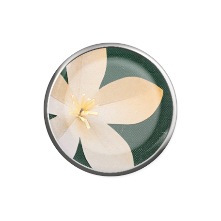 Through Thick & Thin - White Flower Brad 01 graphic by Janet Kemp | DigitalScrapbook.com Digital ...