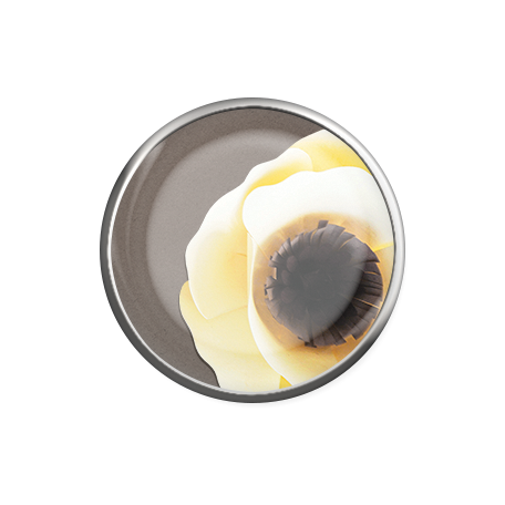 Through Thick & Thin - White Flower Brad 02 graphic by Janet Kemp | DigitalScrapbook.com Digital ...