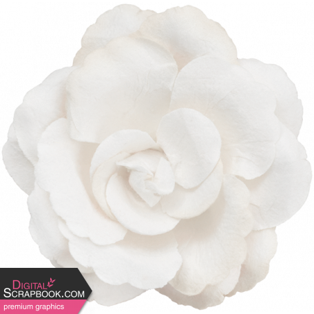 Farmhouse Christmas - White Flower graphic by Janet Kemp | DigitalScrapbook.com Digital Scrapbooking